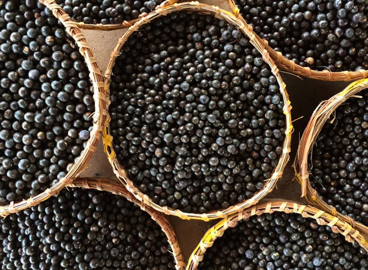 What is an Açaí bowl Made Of? | SAMBAZON