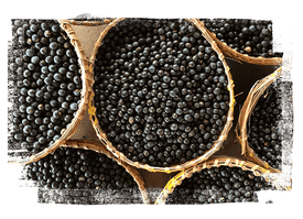 Frozen Acai Packets - Acai Packs for Smoothies & Bowls | SAMBAZON