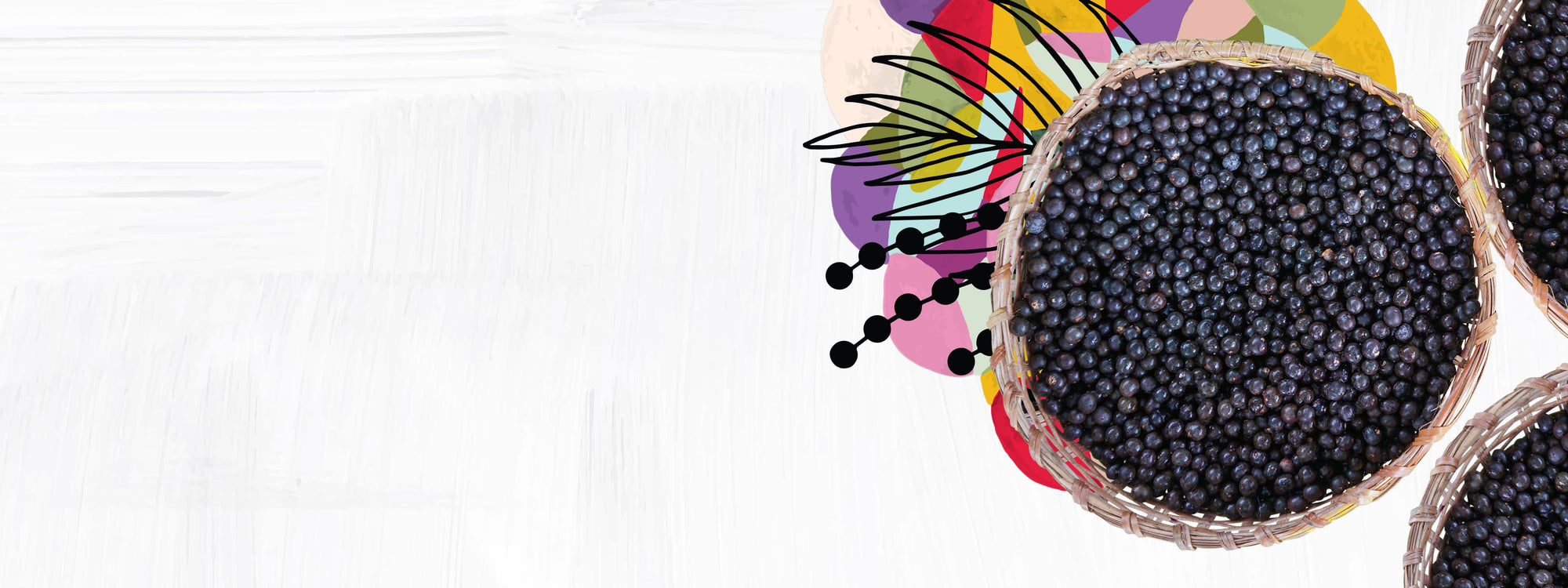 What is Acai? Health & Nutritional Benefits of Acai Berries | SAMBAZON